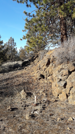 Where to Hike in the Winter Around Bend Oregon – Riley Ranch along the ...